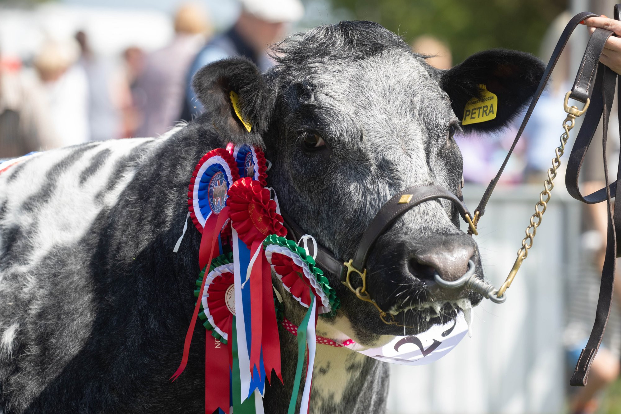 Nottinghamshire County Show 2026 | 9 May